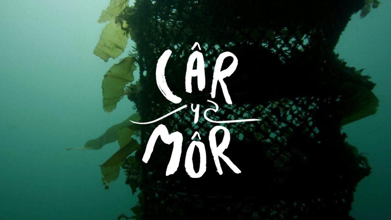Zafiri - Patagonia Films Profiles Welsh Seaweed Farm Câr-Y-Môr